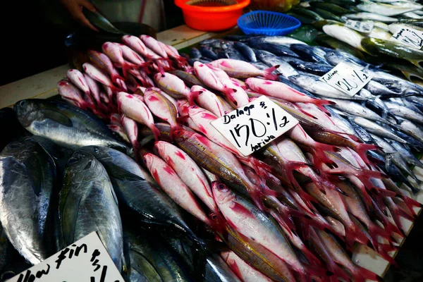 Fish price tag Stock Photos, Royalty Free Fish price tag Images ...