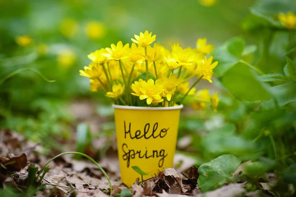 Happy friday spring Stock Photos, Royalty Free Happy friday spring ...