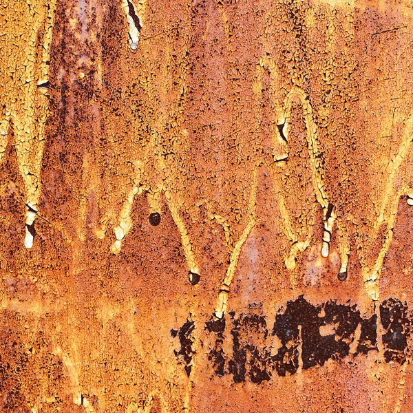 Thermal termites Stock Photos, Royalty Free Thermal termites Images ...