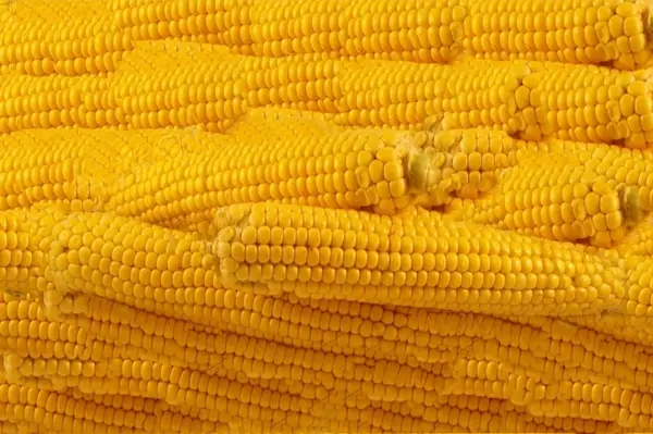 Milpas Stock Photos, Royalty Free Milpas Images | Depositphotos