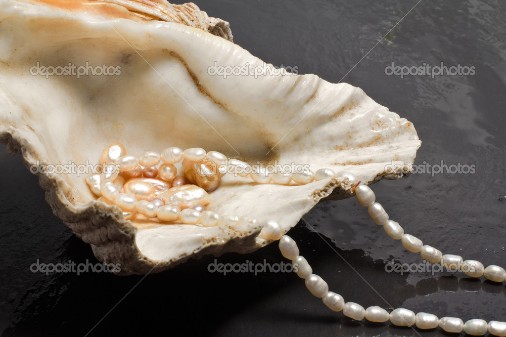 Pearl jewels inside oyster Stock Photo by ©TTLmedia 17592413