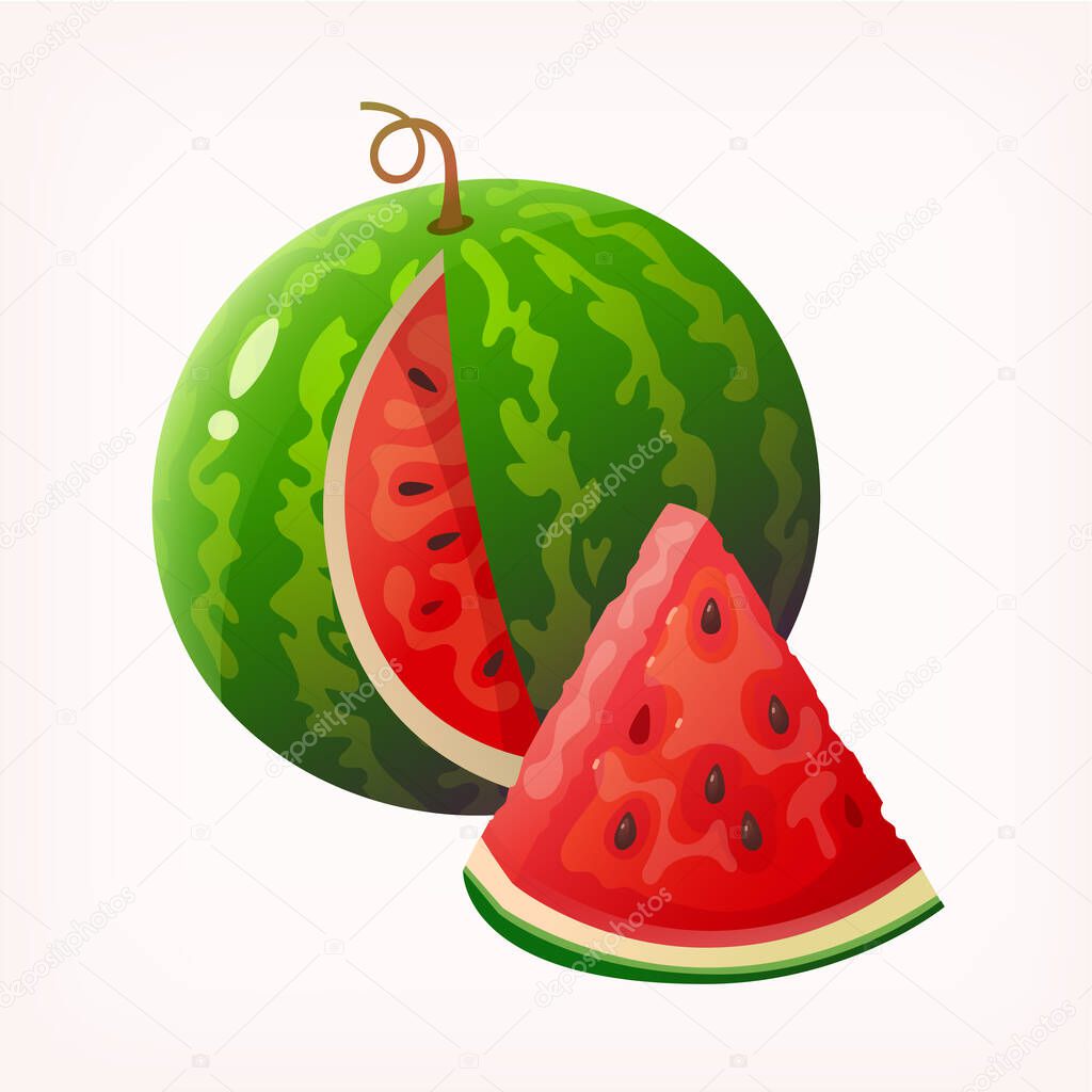 Sliced Watermelon Image Isolated Vector Illustration Colourful Fruit ...