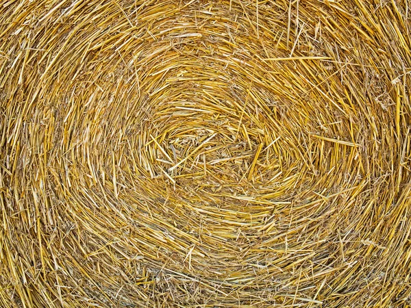 Haystack texture — Stock Photo © kantver #38570111
