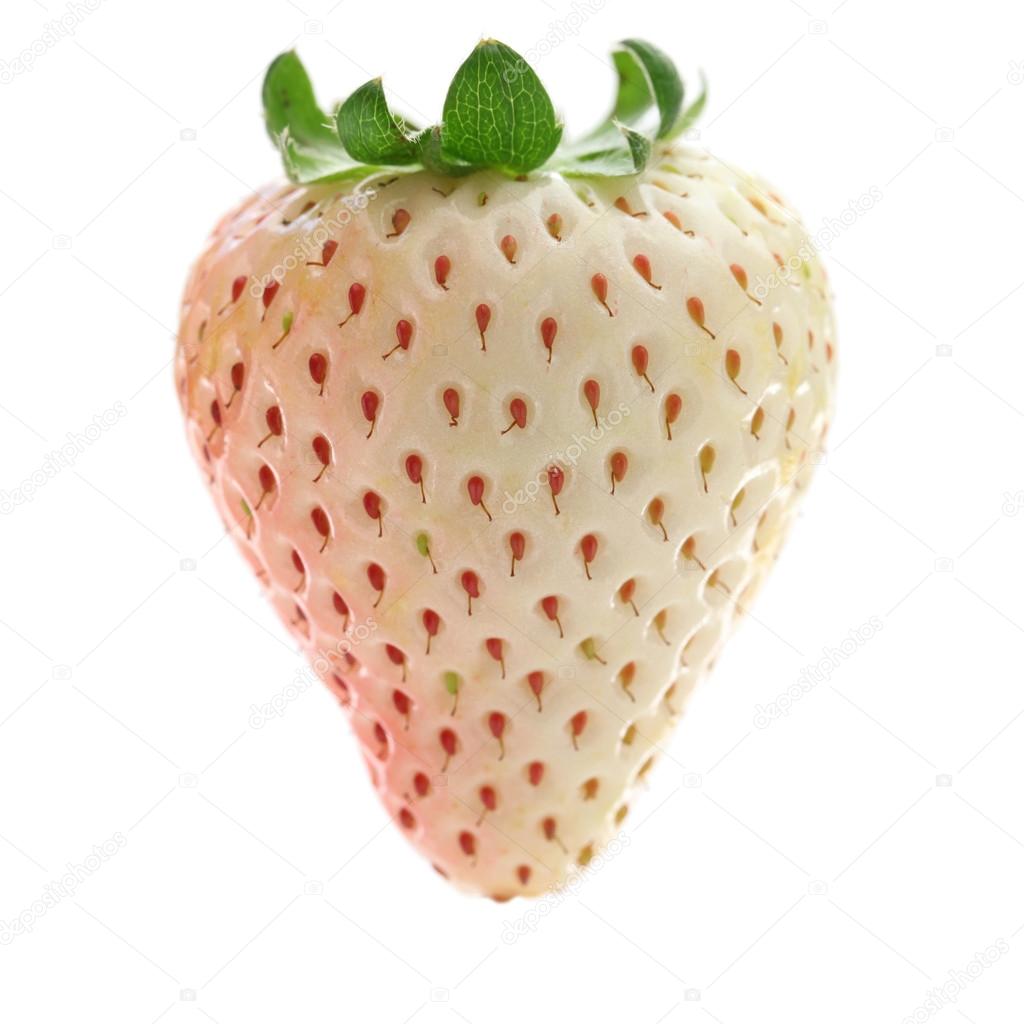 White strawberry — Stock Photo © asimojet #42454271