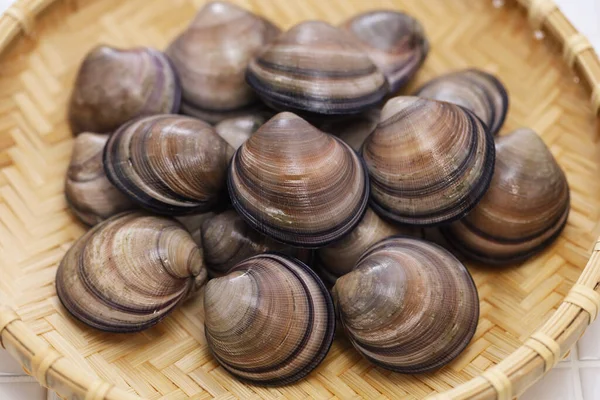 Clam seafood Stock Photos, Royalty Free Clam seafood Images | Depositphotos