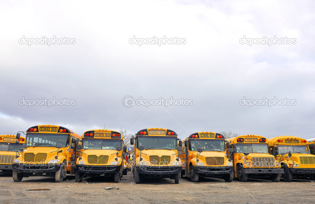School Bus Lineup Stock Photo by ©jehoede 39208519