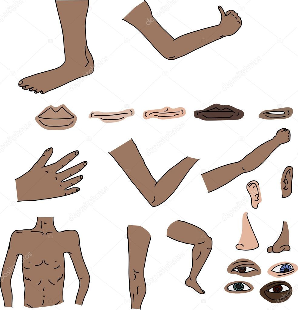 Isolated Body Parts Stock Vector Image by ©theblackrhino #38035815