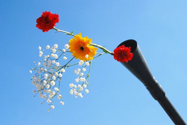 Live flowers stick out of a gun barrel. - Stock Image - Everypixel