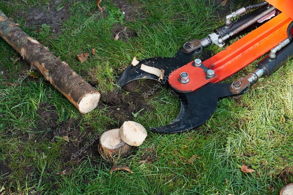 Detalles de una máquina herramienta para cortar árboles 2022