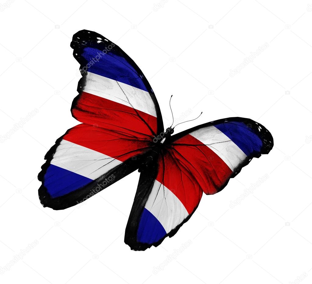 Mariposa bandera costa rica | mariposa de Costa rica bandera volando ...