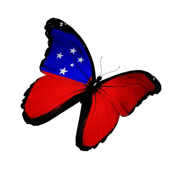 Samoa flag butterfly flying, isolated on white background Stock Photo ...