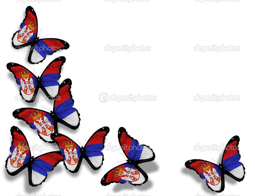 Serbia flag butterflies, isolated on white background Stock Photo by ...