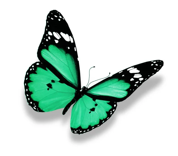 Green butterfly Stock Photos, Royalty Free Green butterfly Images ...