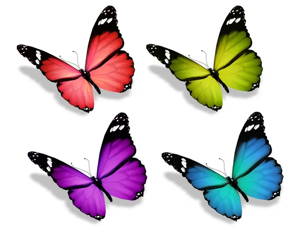 Three color butterfly, isolated on white background Stock Photo by ©sun ...