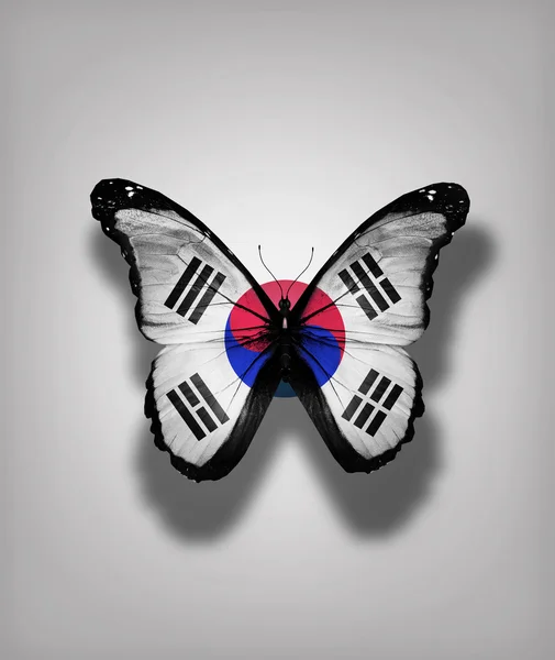 Flag of South Korea butterfly, isolated on white — Stock Photo © sun ...