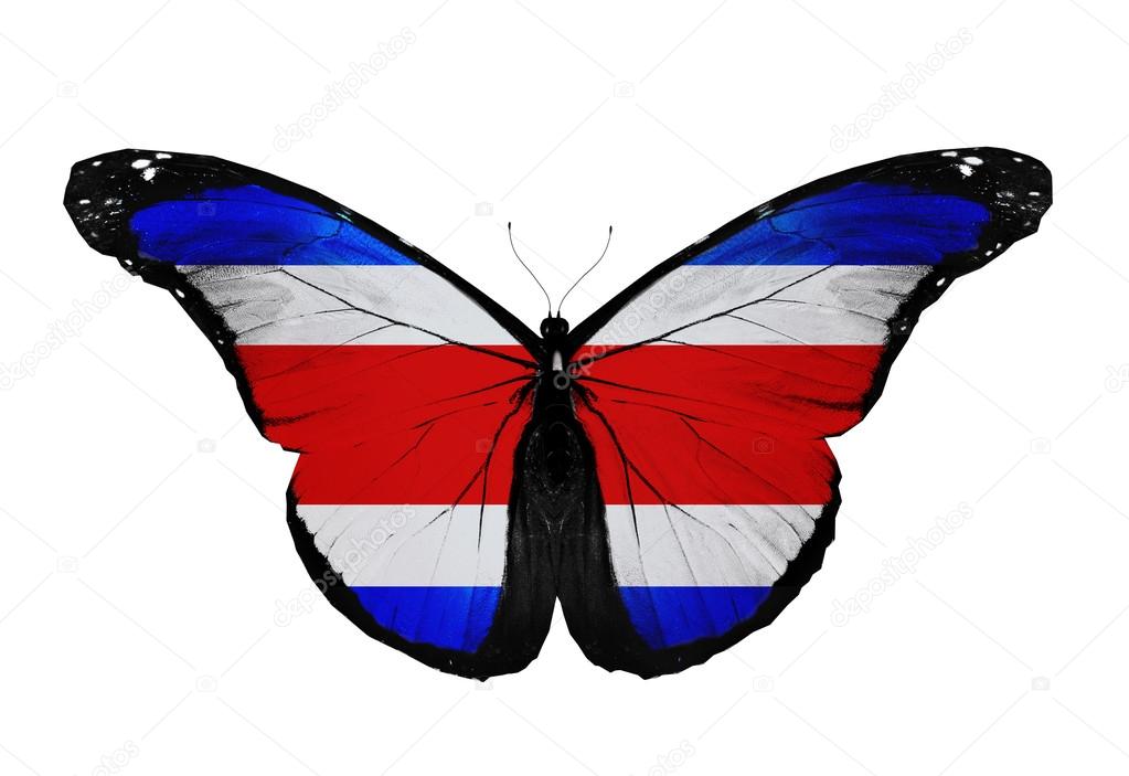 Mariposa de Costa rica bandera volando, aislado sobre fondo blanco ...