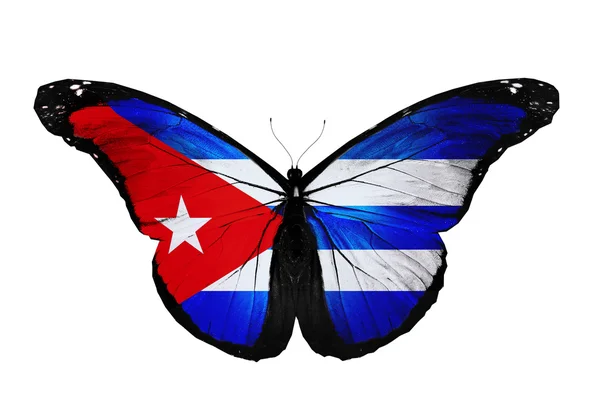 Lithuanian flag butterfly, isolated on white background Stock Photo by ...