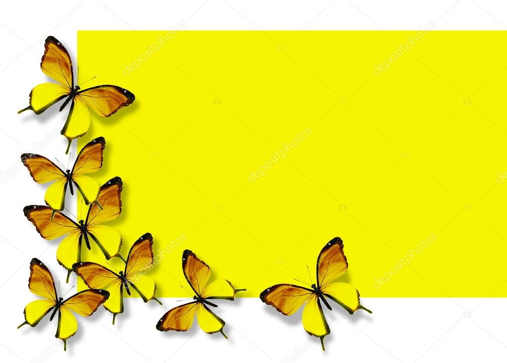 Yellow Butterfly Backgrounds