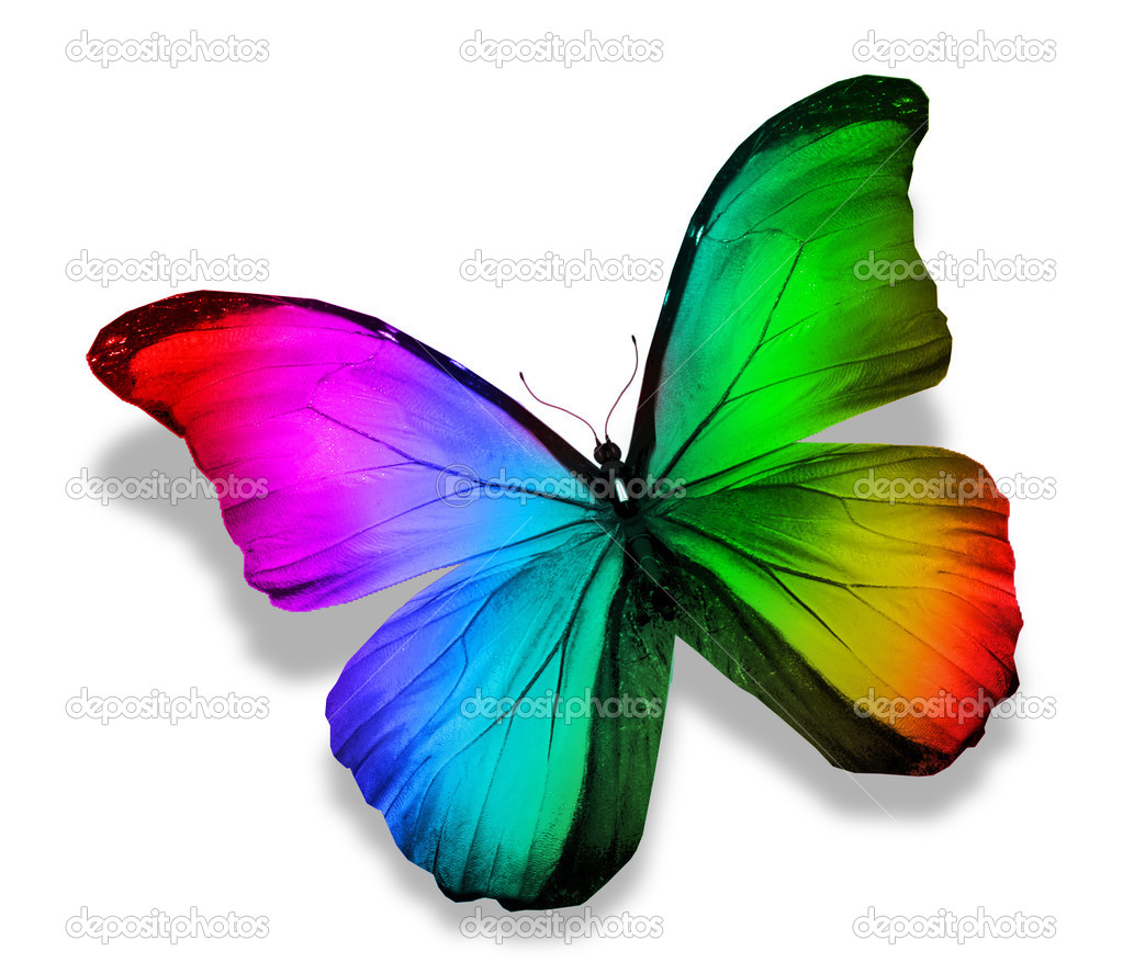 Morpho blue turquoise butterfly — Stock Photo © sun_tiger #39865123