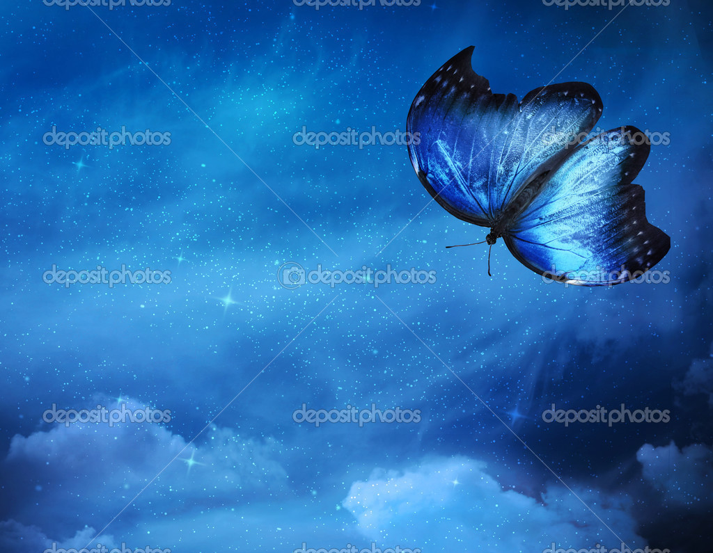 Sky with butterfly Stock Photo by ©sun_tiger 47254239