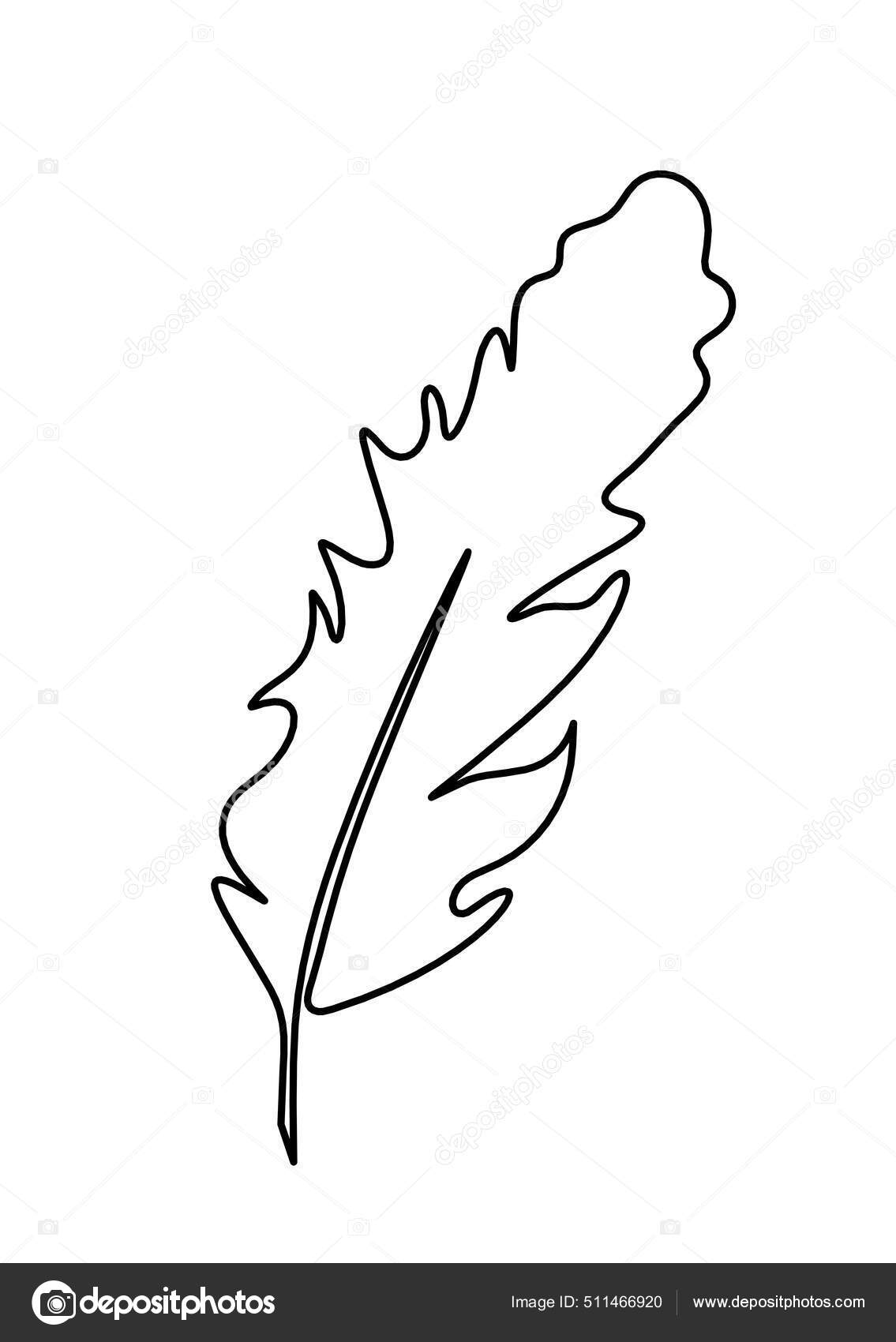 Silueta De Pluma Simple