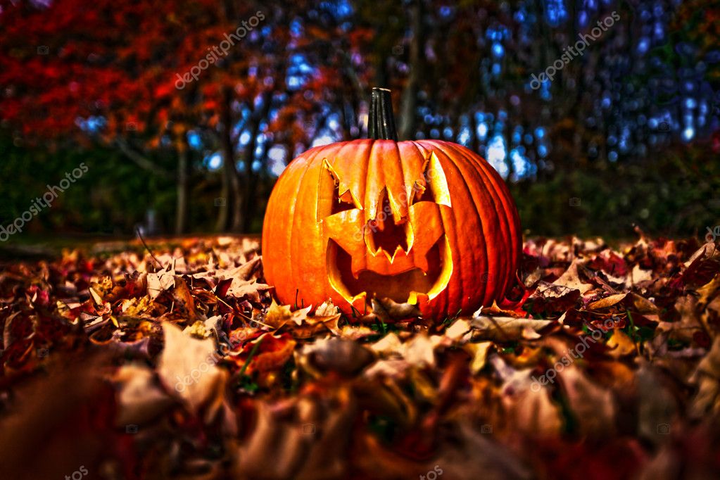 Halloween pumpkin Stock Photo by ©stu99 13503794