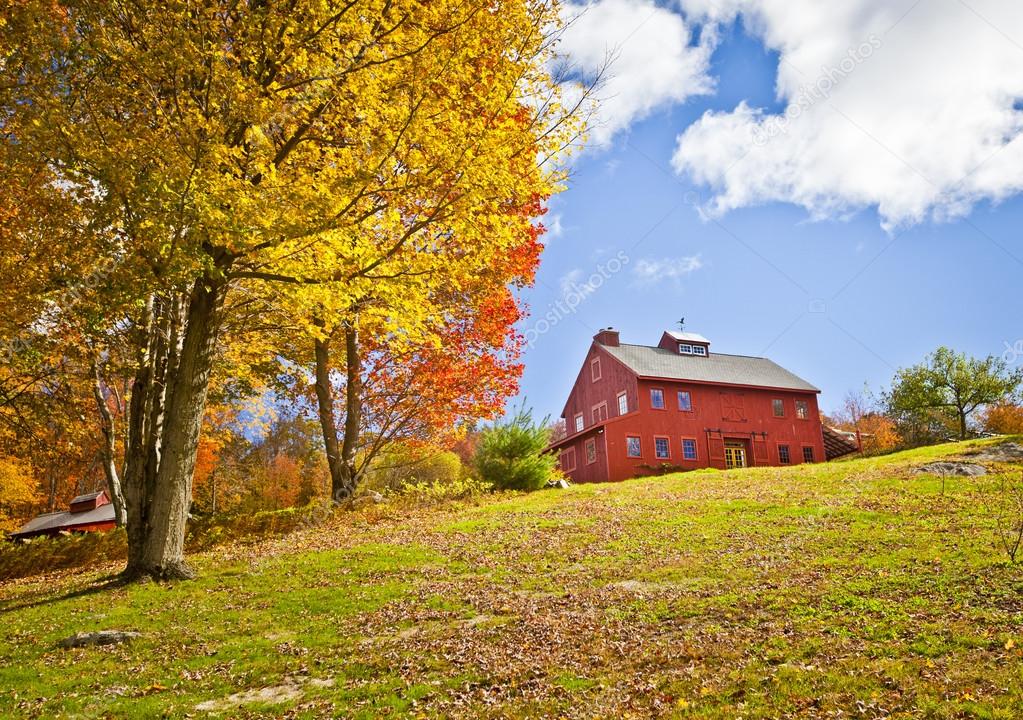 Farm house — Stock Photo © stu99 #23793421