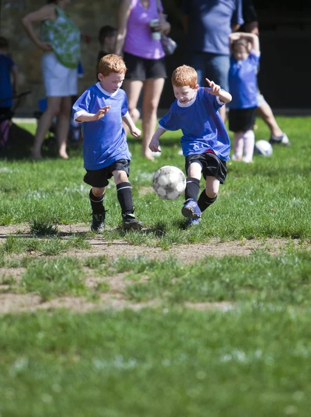 Mini soccer Stock Photos, Royalty Free Mini soccer Images | Depositphotos®
