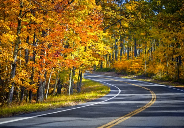 Fall road - Stock Image - Everypixel