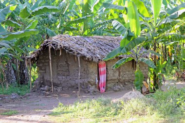 cabana+de+barro Imágenes, fotos de stock y vectores