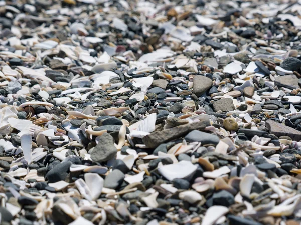 Portfolio: m0skit | Stock Photos, Illustrations and Vector Art ...