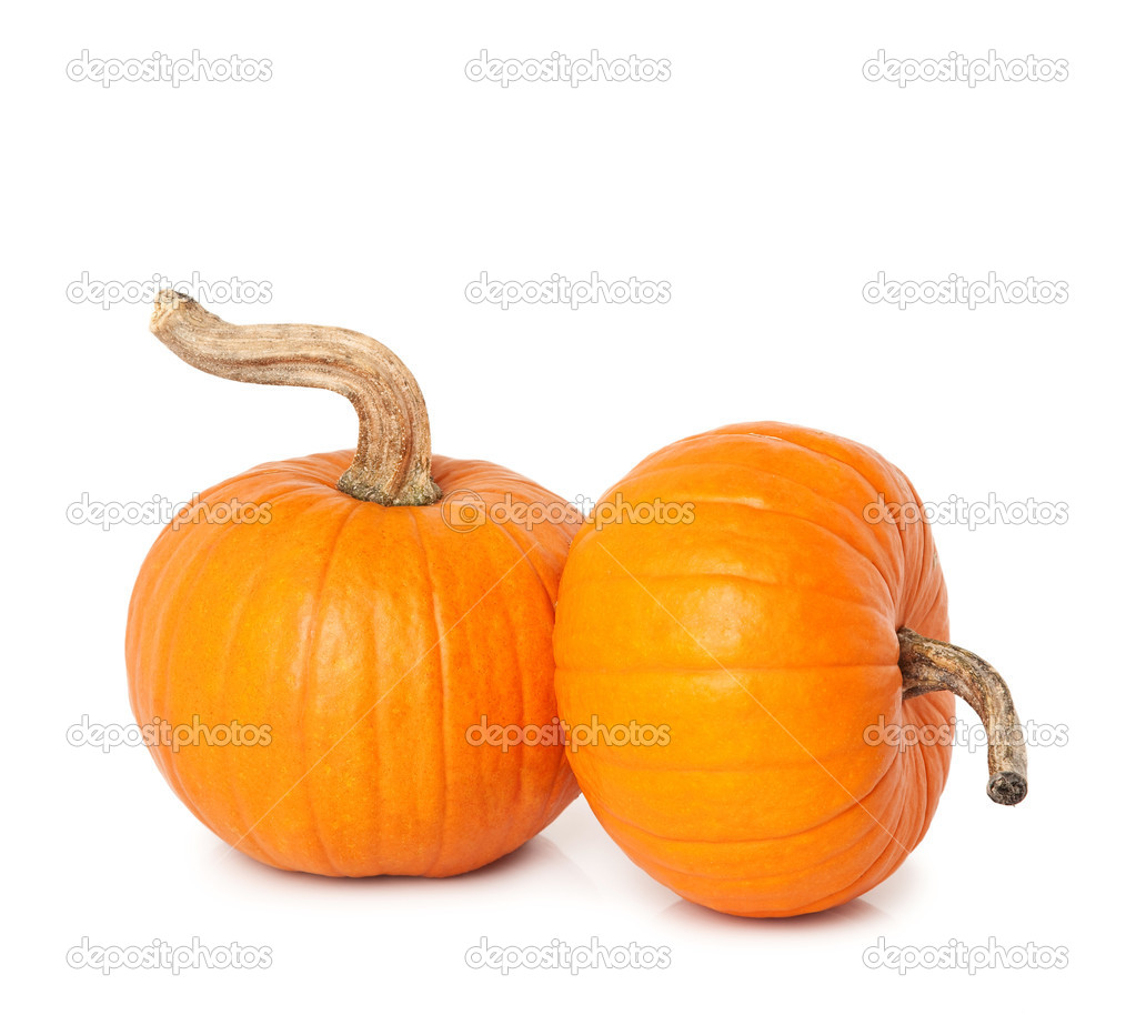 Two pumpkins Stock Photo by ©ulchik74 13171308