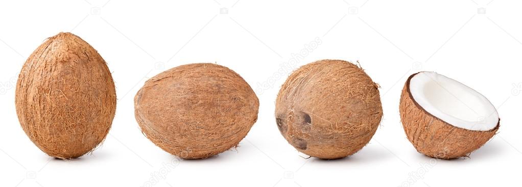 Fresh coconut Stock Photo by ©gresey 20616945 Fresh coconut Stock Photo by ©gresey 20616945