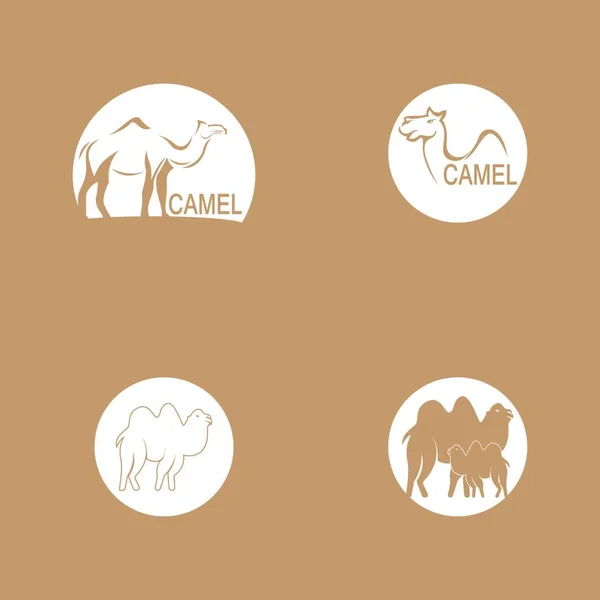 100,000 Camel chart Vector Images | Depositphotos