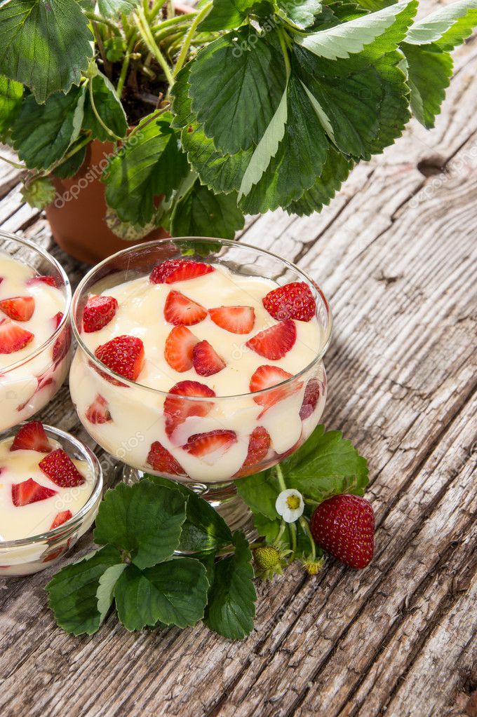 Different sizes of Vanilla Pudding Stock Photo by ©HandmadePicture 12525637
