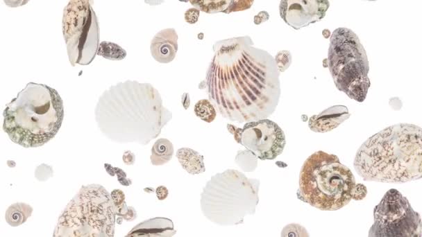 1080p Stock Videos, Royalty Free 1080p Footages | Depositphotos®