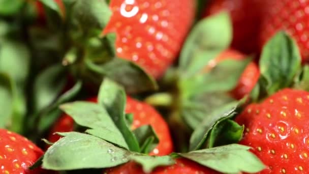 Beautiful strawberries Stock Photo by ©photomaru 3390600