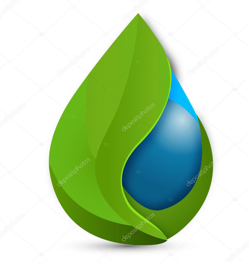 Leaf drop water Stock Vector Image by ©Glopphy #49181727