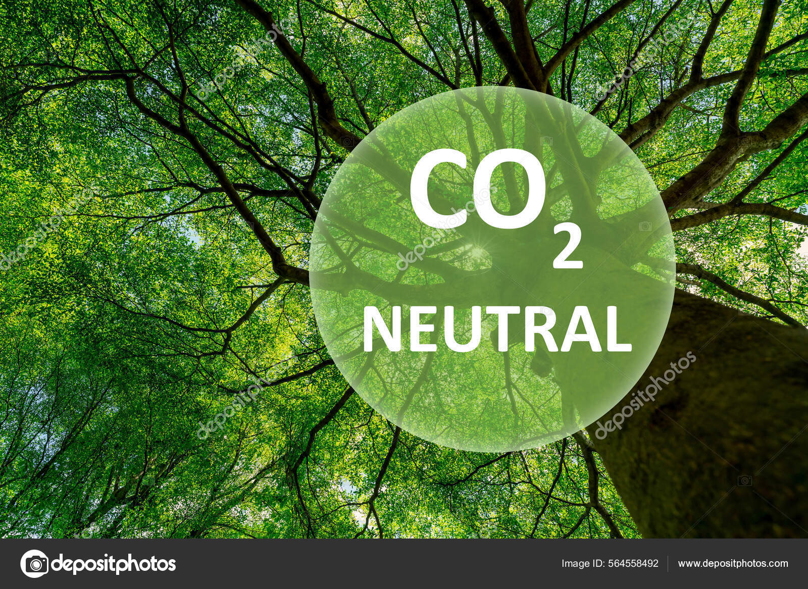 Carbon Neutral Concept Co2 Neutral Circle Logo Green Tree Forest ...