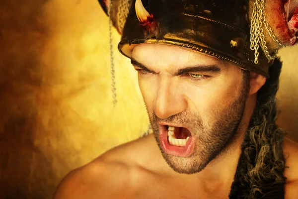 Fantasy warrior man Stock Photos, Royalty Free Fantasy warrior man ...