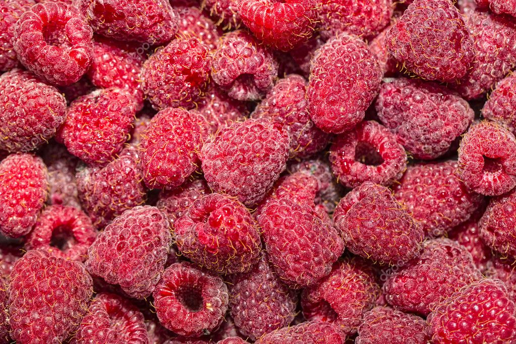 Raspberry — Stock Photo © Lester120 #32085769