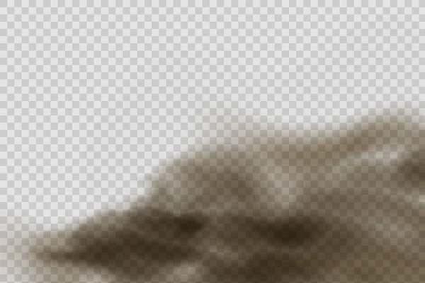 Vektor Realistis Diisolasi Pada Latar Belakang Transparan Asap Hitam ...
