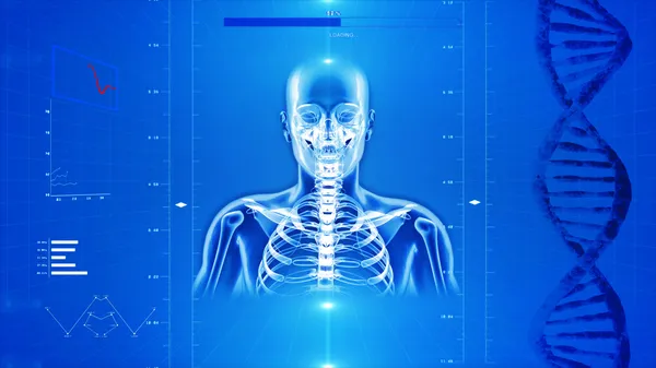 Skeleton x ray Images - Search Images on Everypixel