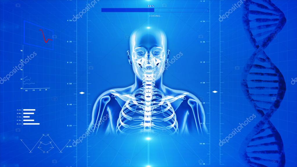 Human skeleton on high tech background Stock Photo by ©vitstudio 35637021
