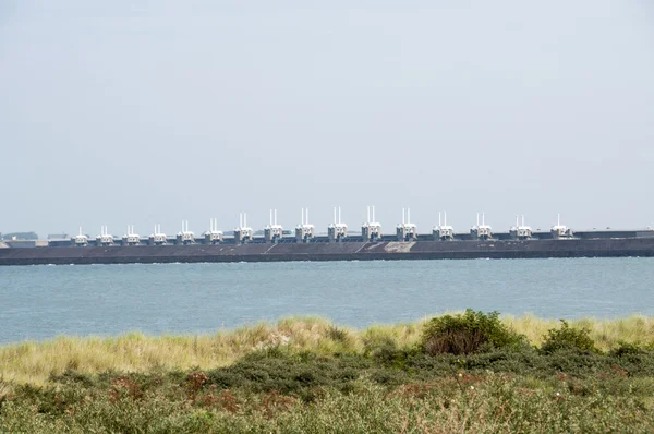 Surg Stock Photos, Royalty Free Surg Images | Depositphotos