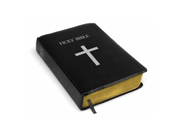 Bible on white background Stock Photos, Royalty Free Bible on white ...