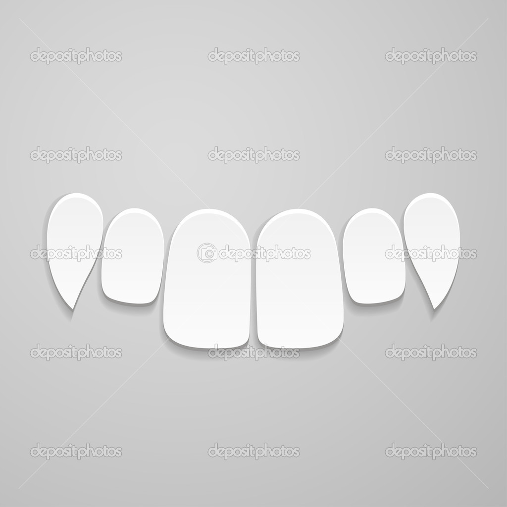 Upper front teeth Stock Vector by ©stockerteam 50705329