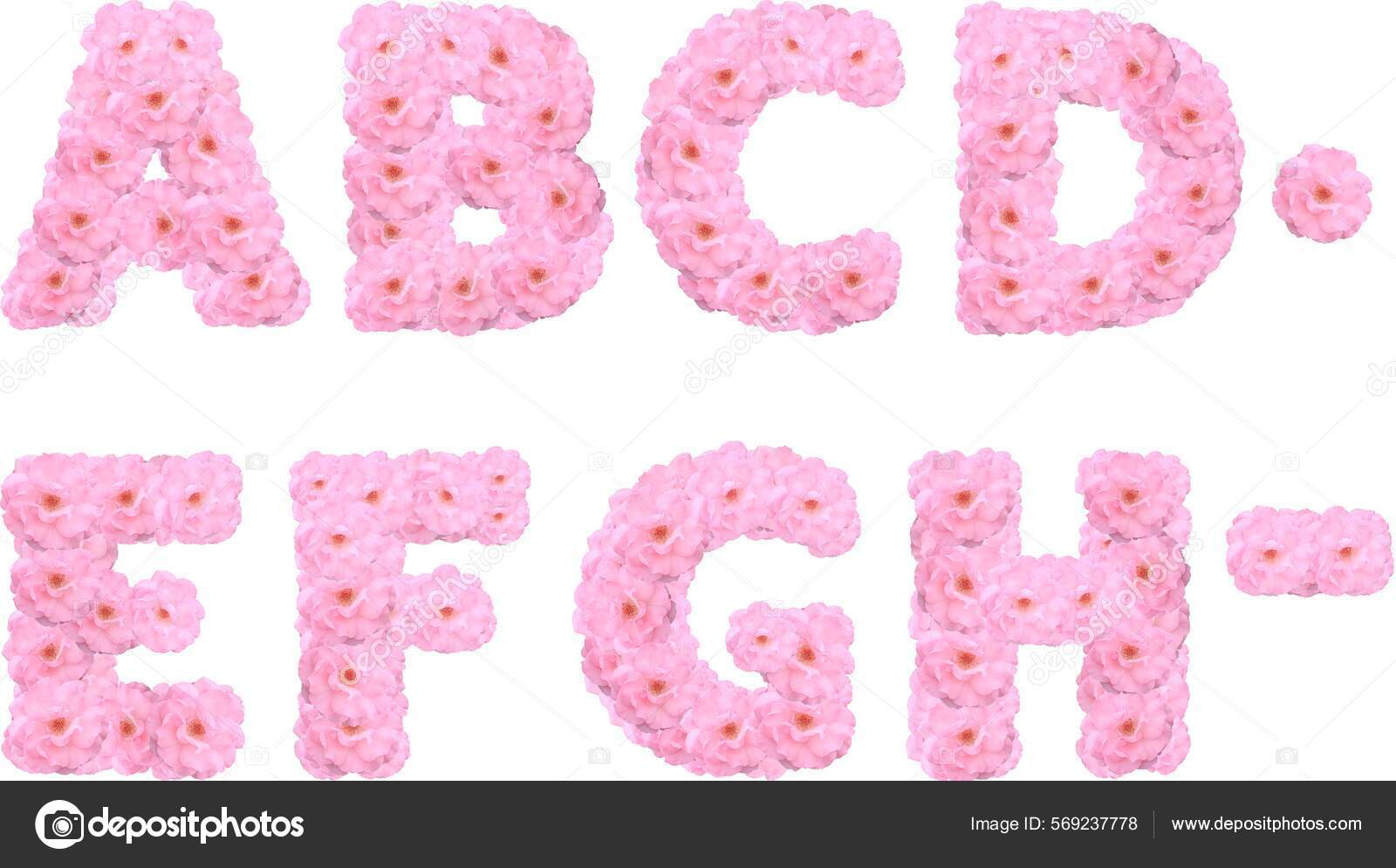 Font Pink Roses — Stock Photo © mtmmarek #569237778