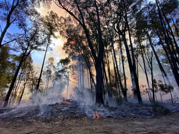 Australian bush fire Stock Photos, Royalty Free Australian bush fire ...