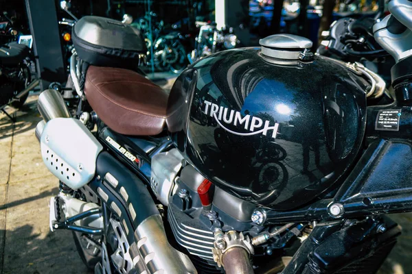 Tradertriumph Stock Photos, Royalty Free Tradertriumph Images ...